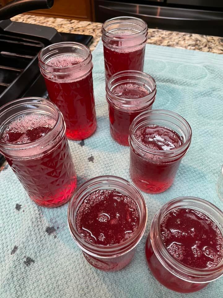 The Best Jelly in the World! – Home Harvest Farm–The Mayhaw Source