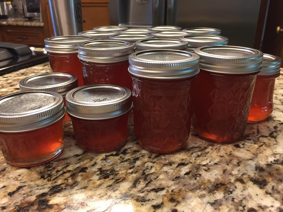 The Best Jelly in the World! – Home Harvest Farm–The Mayhaw Source